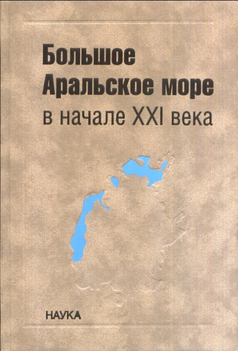 Большое Аральское море в начале XXI века