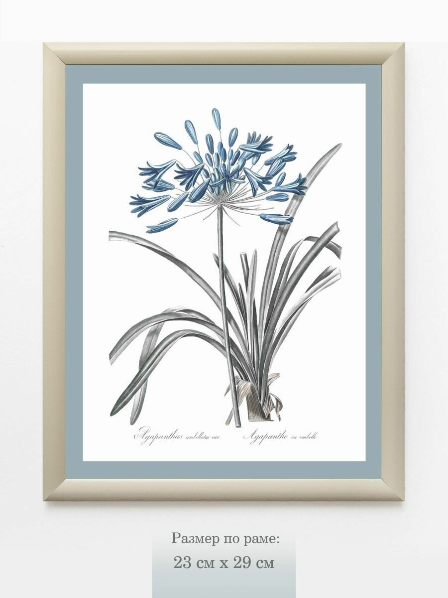 Картина серии "Нежность" на натуральном хлопковом холсте в багетной раме