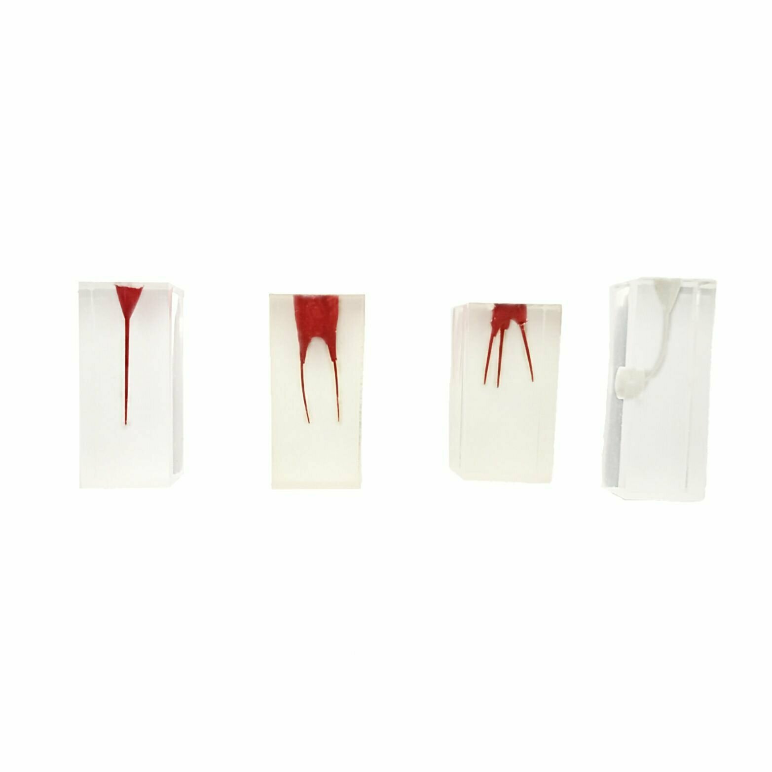 Эндоблоки : 4 шт , одноканальные , двухканальные , трехканальные . одноканальные с конусом. Прозрачные тренировочные блоки для обучения и закрепления эндодонтических навыков от Incidental