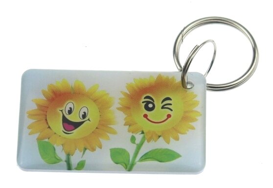 Ключ-брелок для домофона с классным изображением (перезаписываемый), T5577 EM4305, 125 кГц