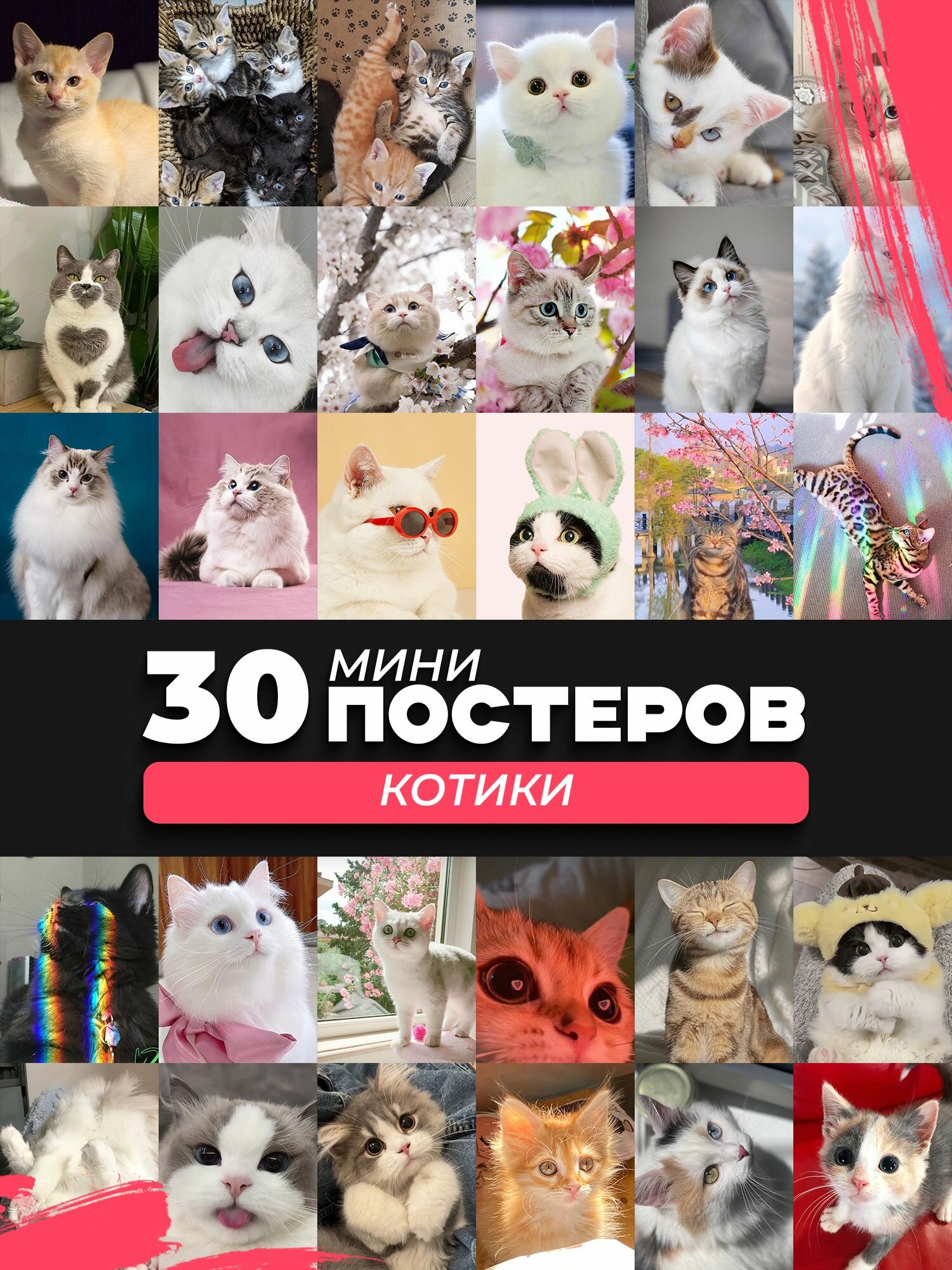 Набор мини постеров котики
