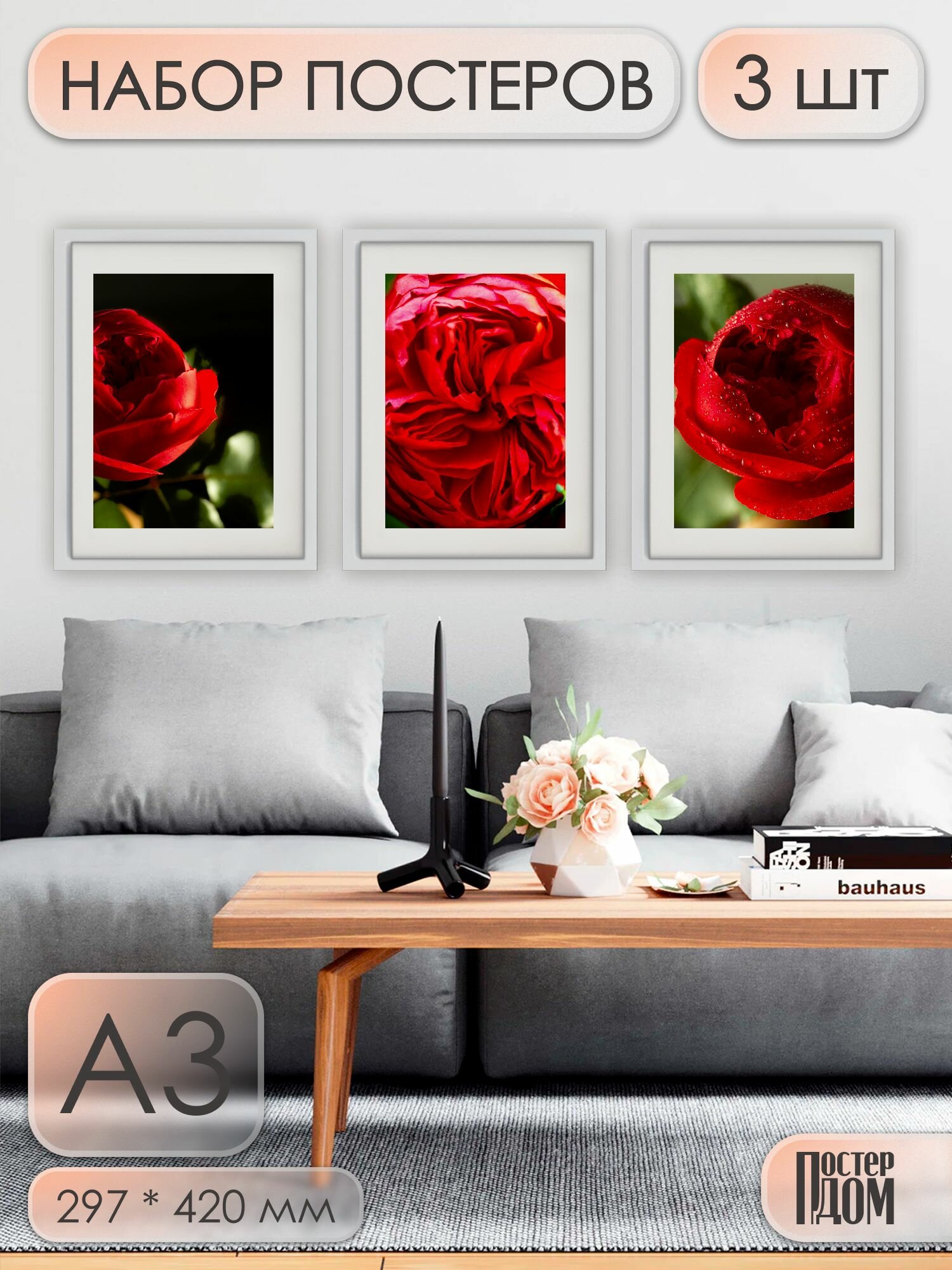 Постеры интерьерные на стену эстетика красные пионы