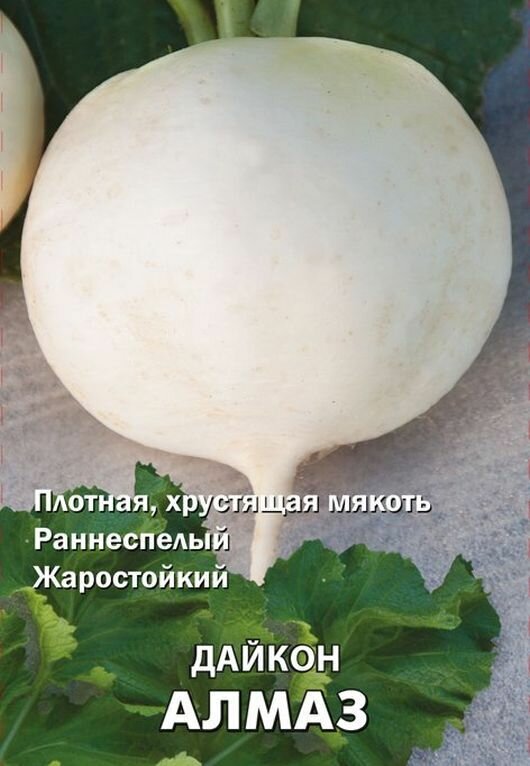 Семена Дайкон Алмаз