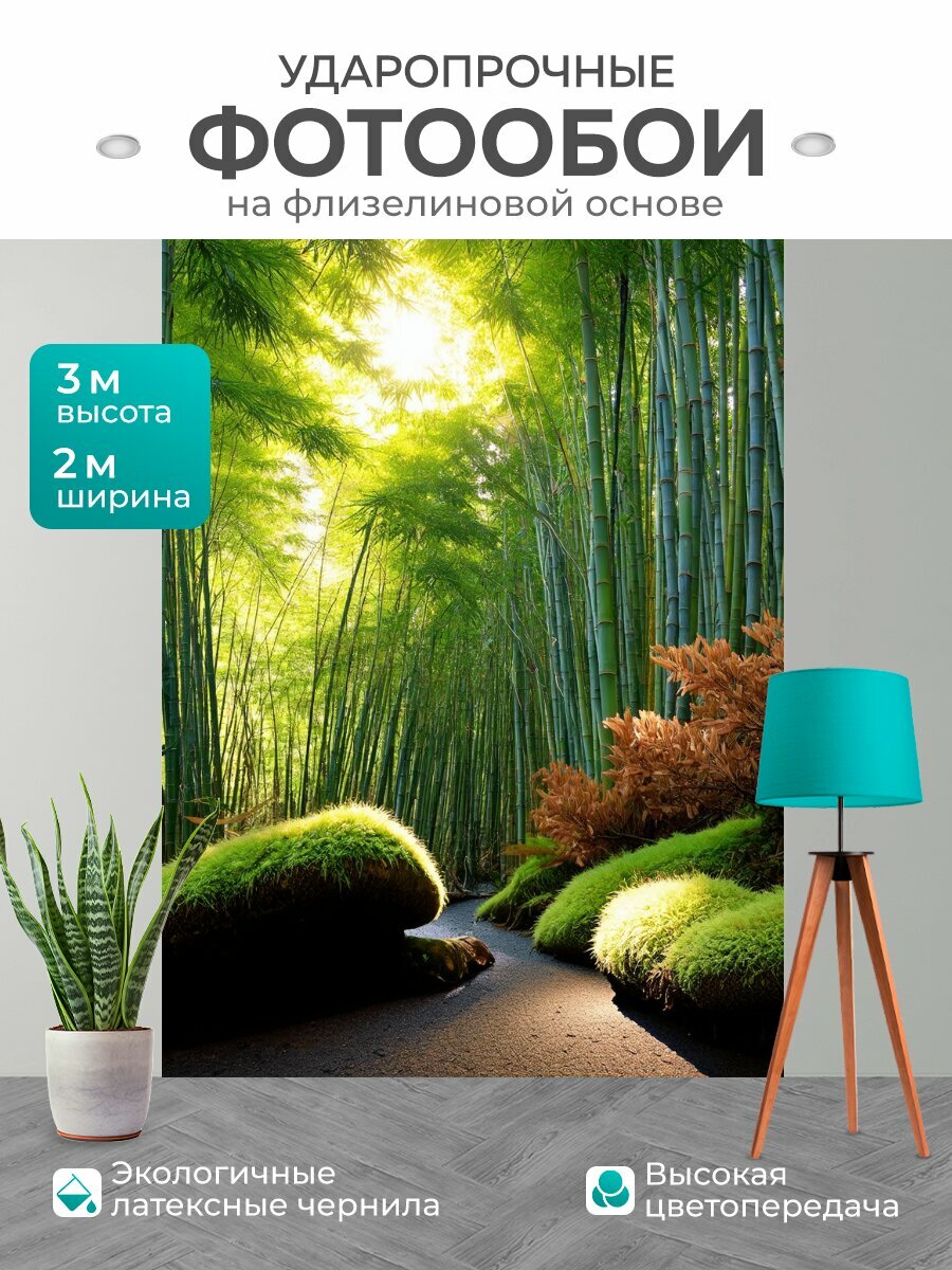 Фотообои моющиеся ударопрочные "Япония, изображающие бамбуковый лес, где солнечные лучи пробиваются сквозь густую листву, создавая волшебную атмосферу." 200x300 см. флизелиновые на стену