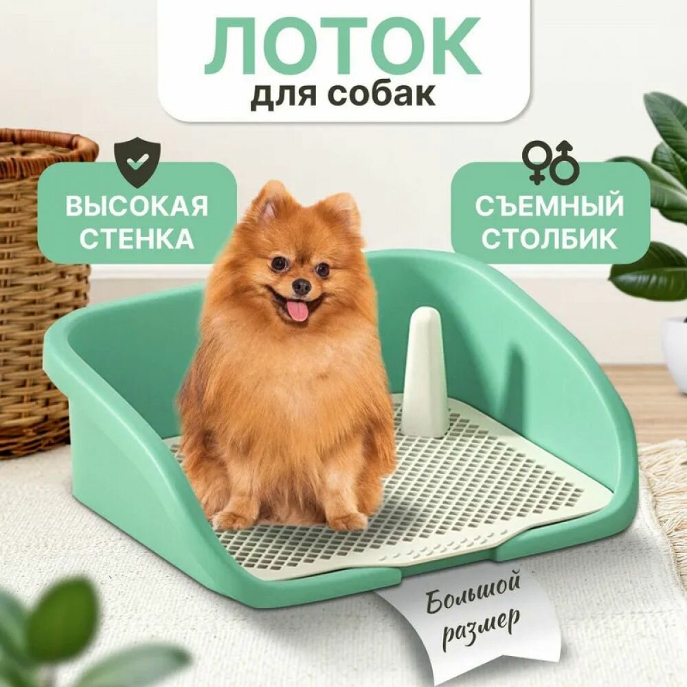 Лоток туалет для собак со столбиком, Зеленый.