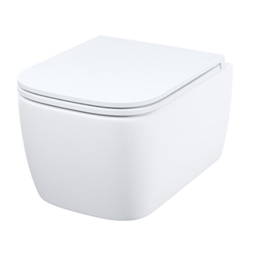 Подвесной унитаз Iddis Bridge BRIRNSEi25