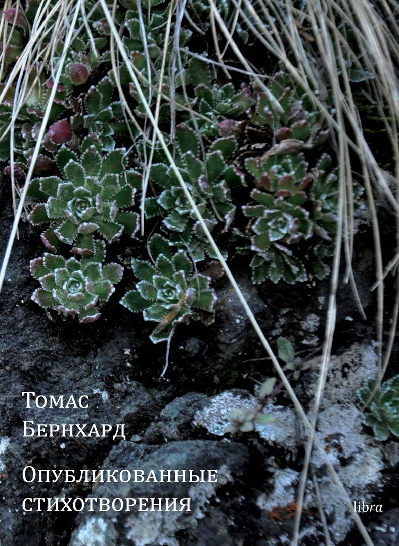 Изобразительные материалы XIX - начала XX века в фондах Государственного архива Российской Федерации. Т. 2. Русские и иностранные художники