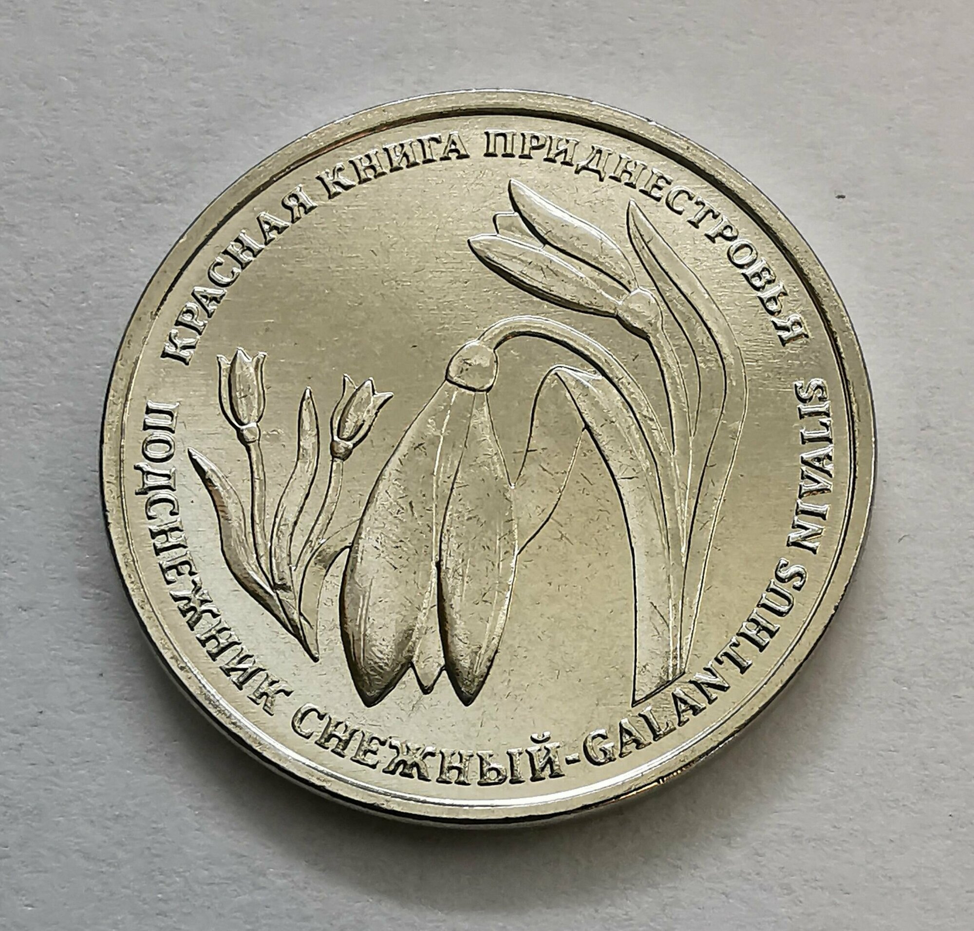 Монета 1 рубль Подснежник снежный серия Красная книга Приднестровья