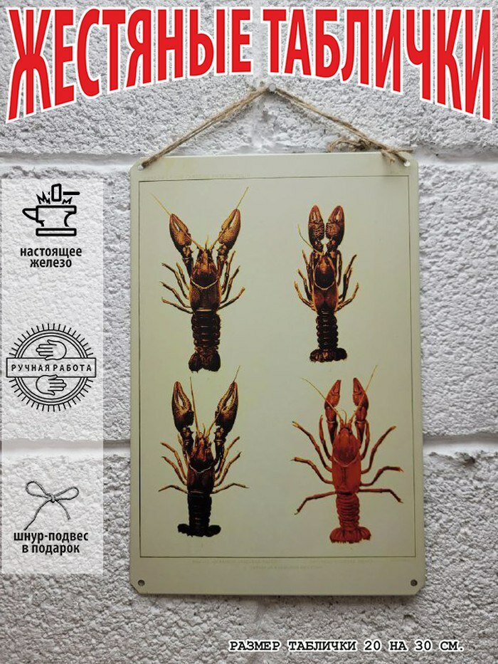 Рак, краб. лобстер, омар постер 20 на 30 см, шнур-подвес в подарок