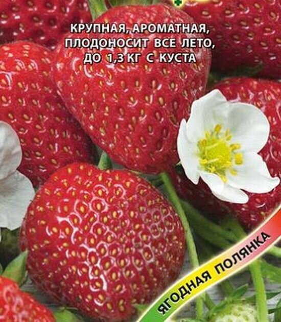 Семена Земляника (Клубника) Грандиан F1 пробирка 5 шт.
