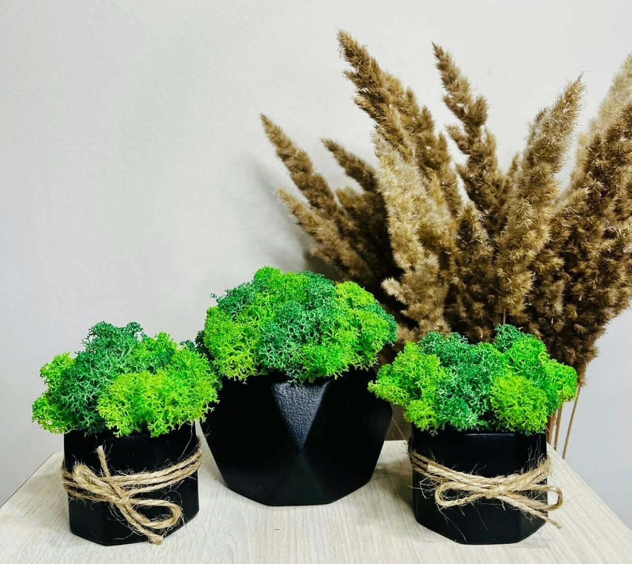 Кашпо со стабилизированным мхом /стабилизированный мох/Набор из 3 кашпо/, декоративное кашпо/интерьерное кашпо/для декора и интерьера/Подарочный набор/черное кашпо