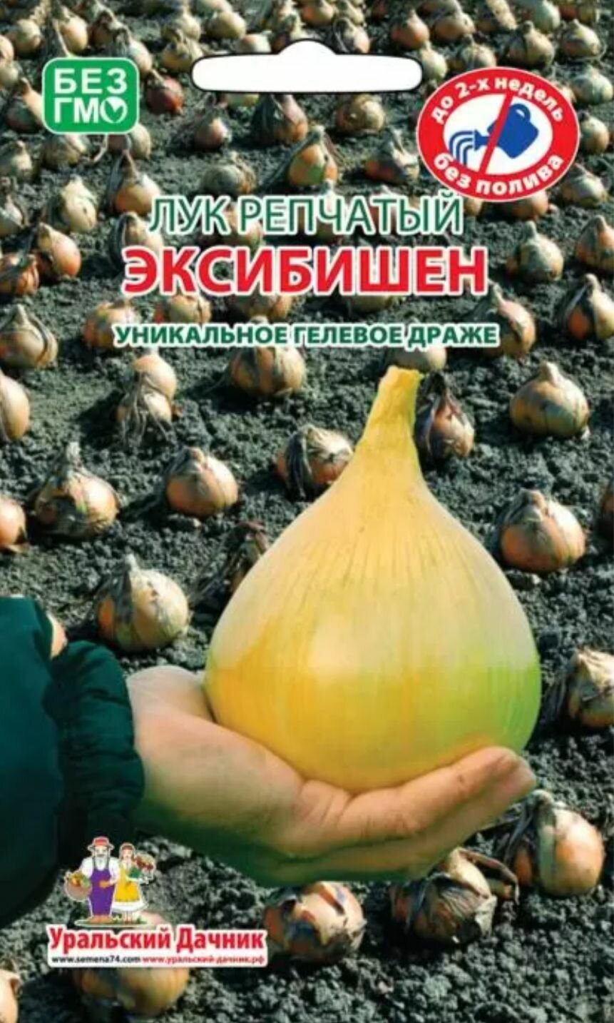 Лук Эксибишен драже (40драже)