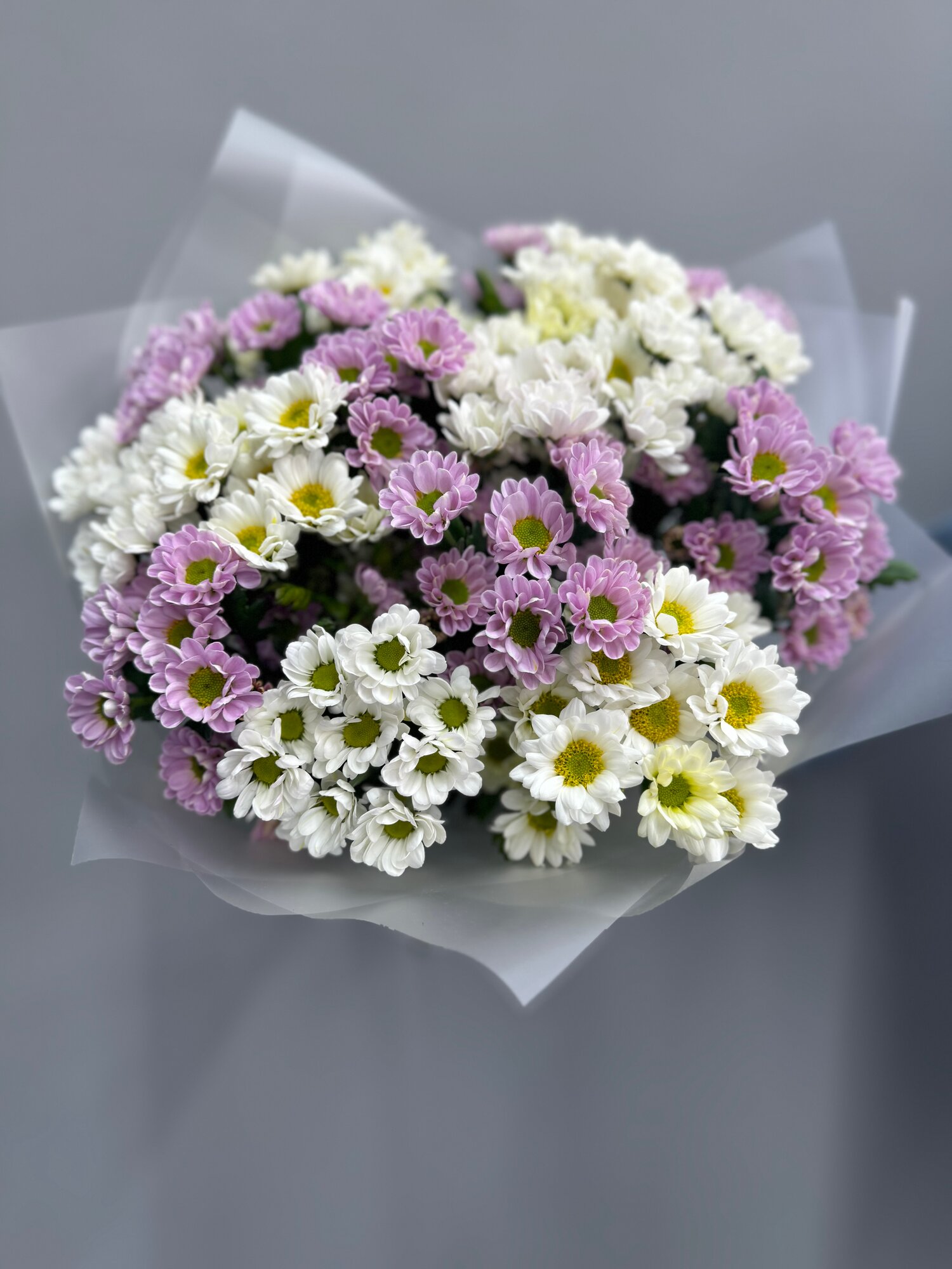 Букет из нежной, ароматной хризантемы сантини. Розовый белый. 15 штук