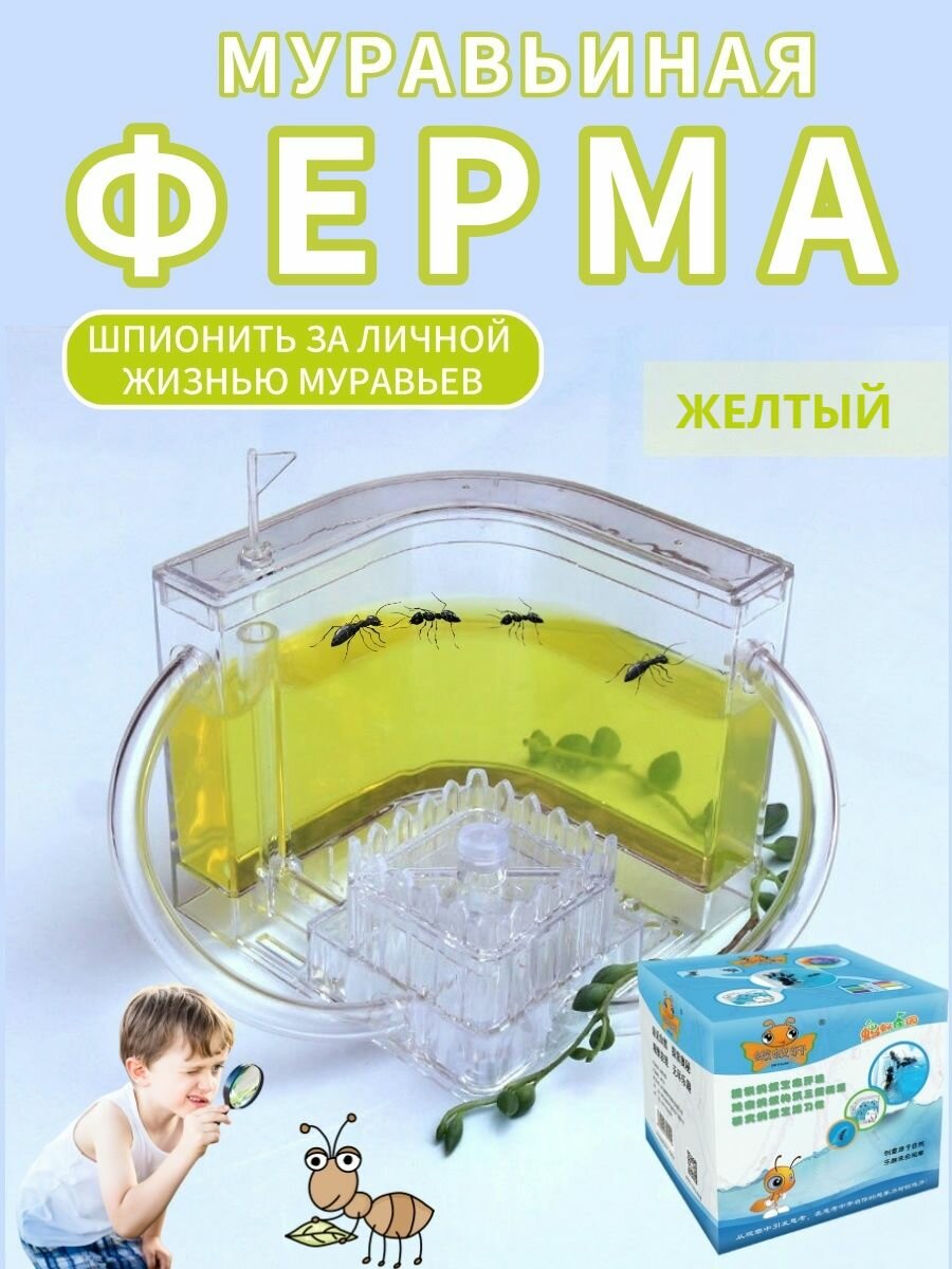 Муравьиная ферма(Муравьи в комплект не входят)，Муравьиная усадьба