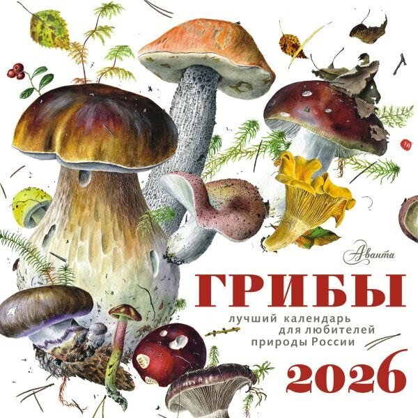 Календарь 2026г 290*290 "Грибы" настенный, на скрепке