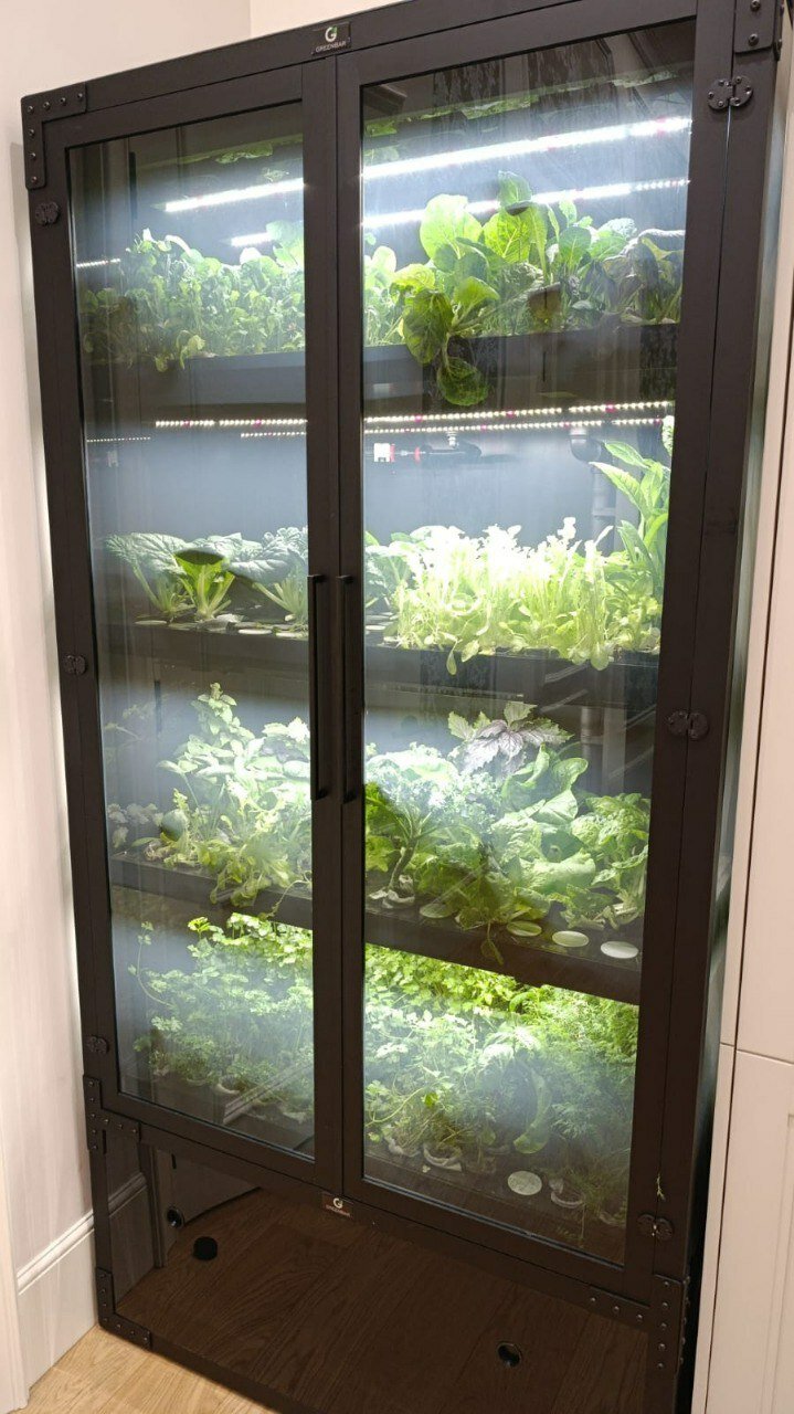 Модуль для выращивания зелени Greenbar- LUX4