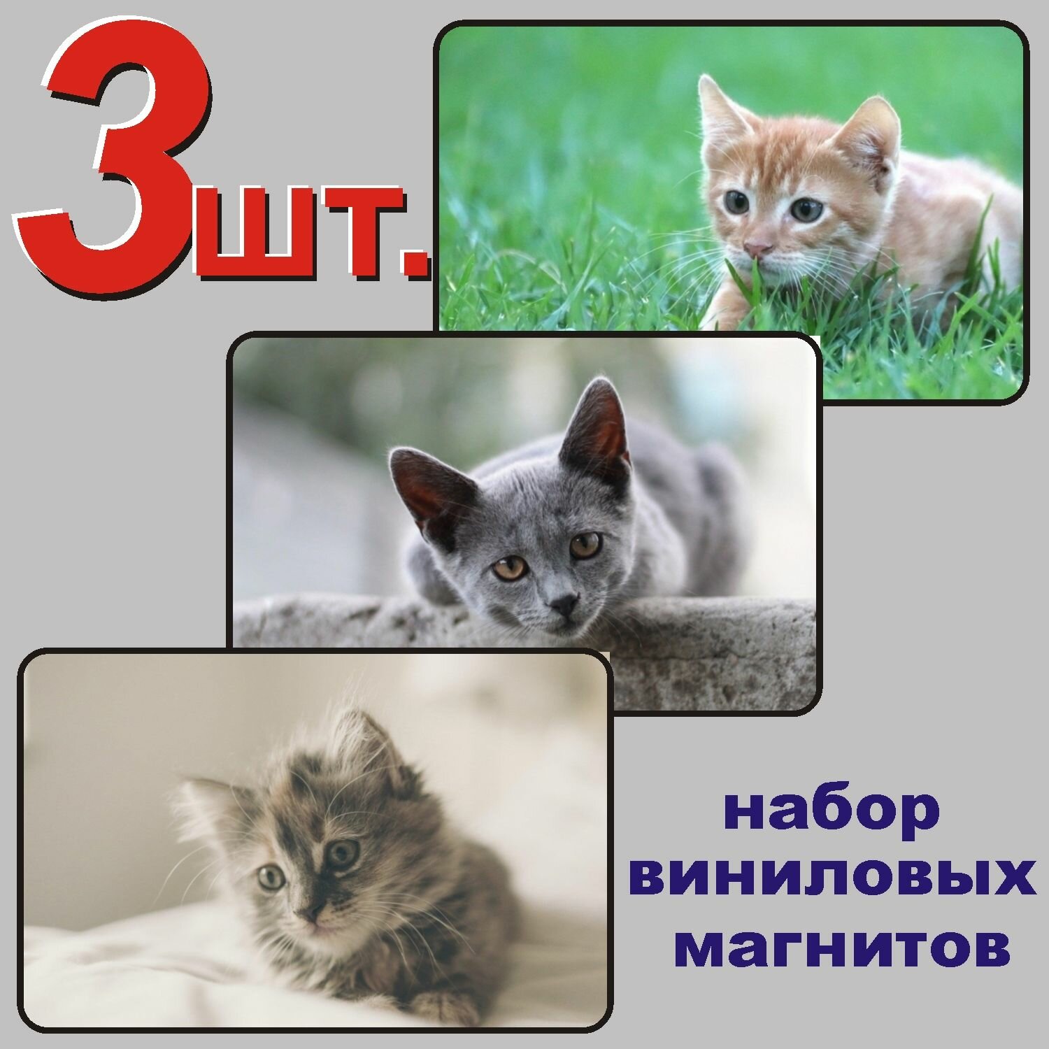 Котики набор магнитов 54x86мм 3 шт.