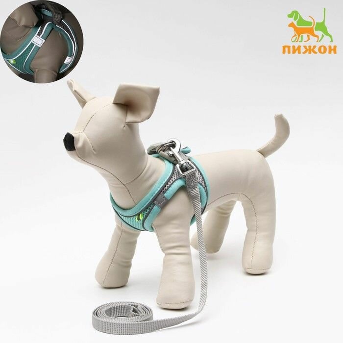 Комплект амуниции для собак Пижон с мягкой шлейкой, размер XXS - 150х1,5 см, ОГ 28-30 см, ОШ 24-26 см, бирюз