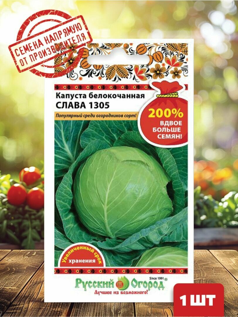 Семена Капуста б/к Слава 1305