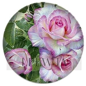 Стеклянные кабошоны LPLWJA с рисунком 25mm-10pcs, ZZ244