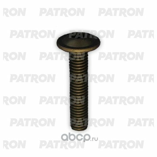 Болт металлический с внутренним шестигранником, черный M6X40 Patron P373219T