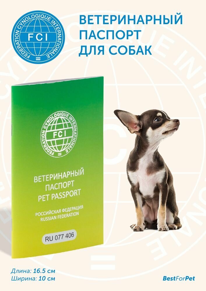 Международный ветеринарный паспорт FCI. Цвет: желто-зеленый