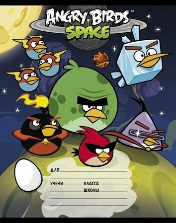 Тетрадь в линейку "Angry Birds. Space", 12 листов, в ассортименте