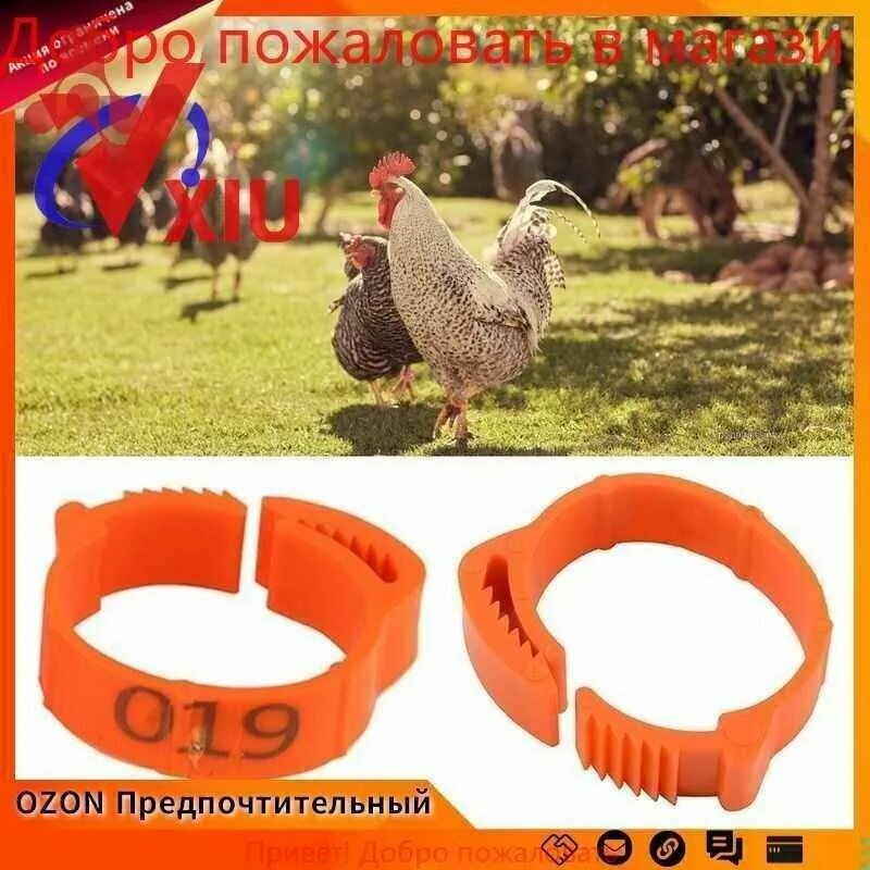 Регулируемые меточные кольца для птиц, 100 шт, подходит для кур, уток и гусей, пластиковые кольца для маркировки