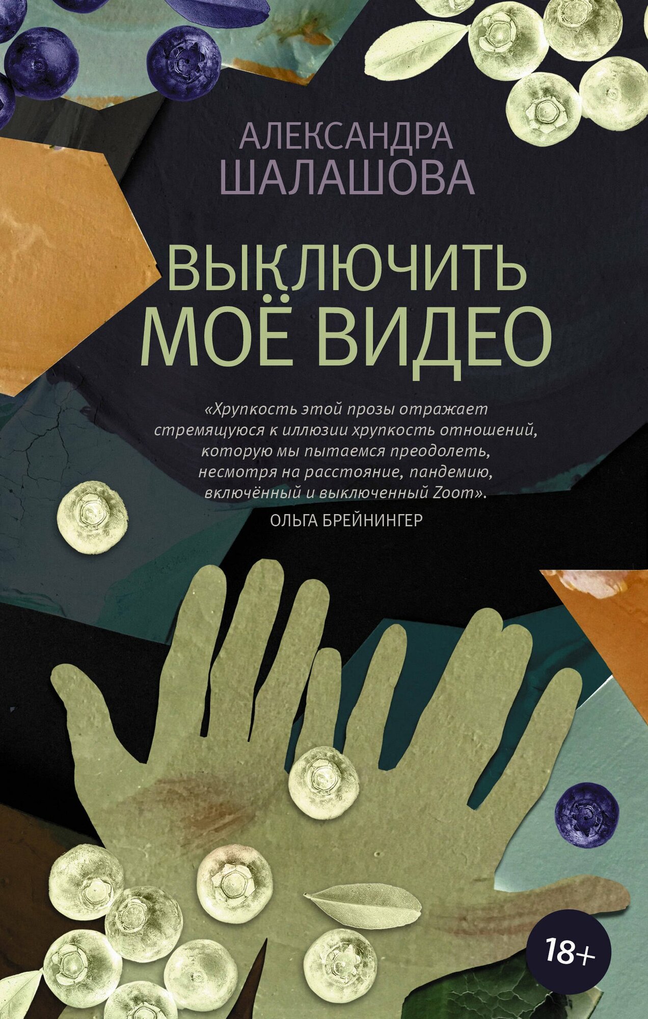 Книга: "Выключить моё видео" от Шалашова А, русский язык, Современная российская проза