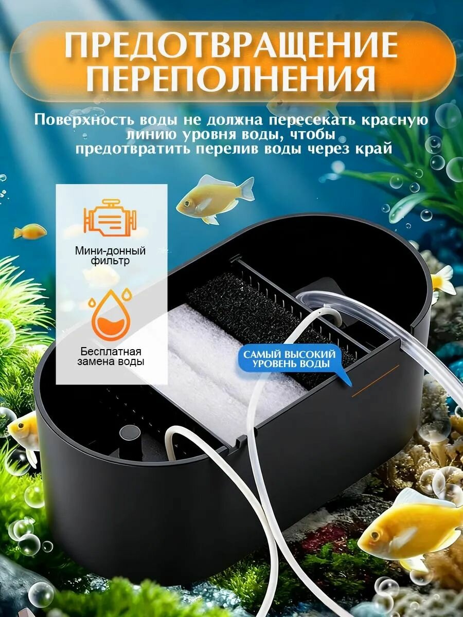 Мини-аквариум — фото 1
