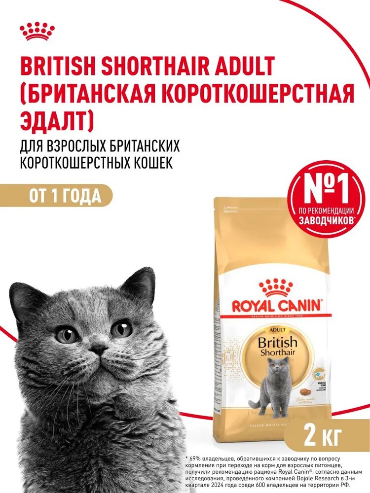 Сухой корм для кошек Royal Canin Adult британской короткошерстной породы, 2 кг