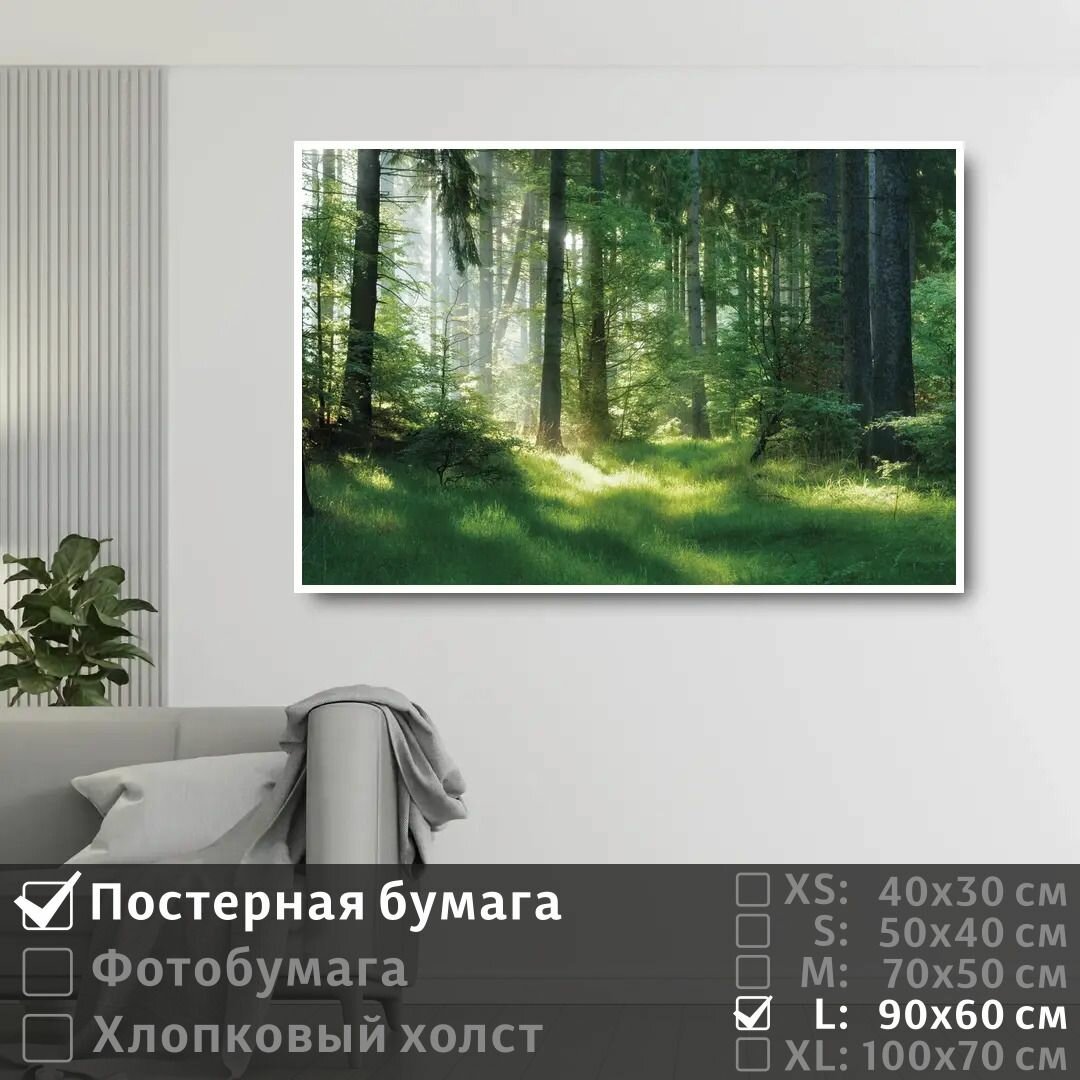 Постер на стену Солнечные Лучи На Рассвете В Лесу 90х60 см ПолиЦентр