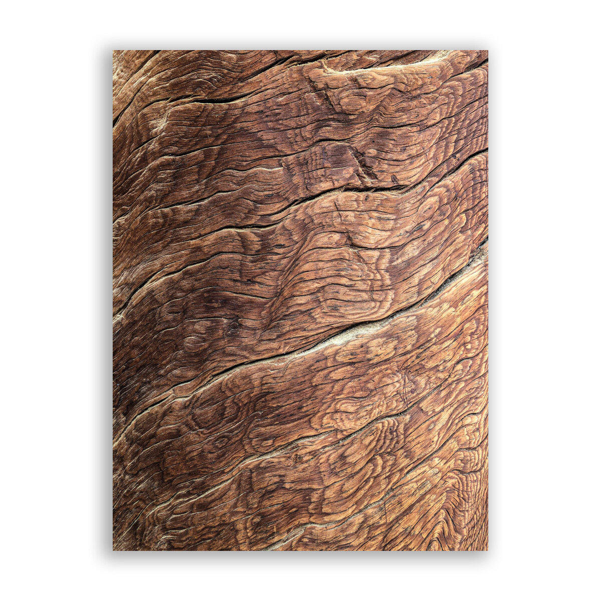 Постер, плакат на бумаге / Древесина / Размер 60 x 80 см