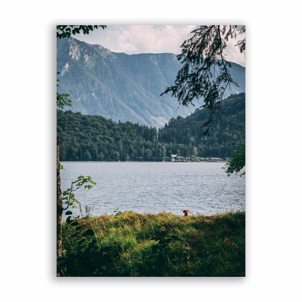 Постер, плакат на бумаге / Природа Австрии - Пейзаж / Размер 40 x 53 см