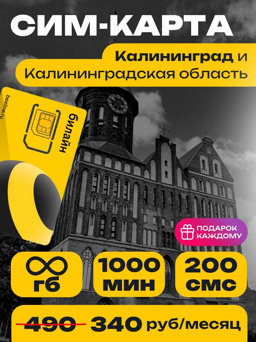 Сим-карта Билайн тариф Эксклюзивный Онлайн Калининградская область Безлимитный интернет и 1000 минут за 340 руб.