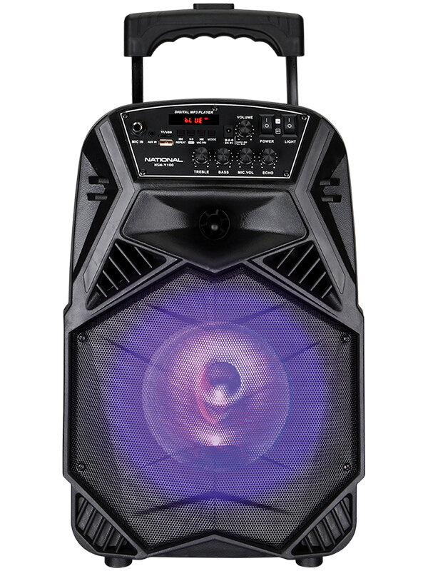 Акустическая система National NSM-V100
