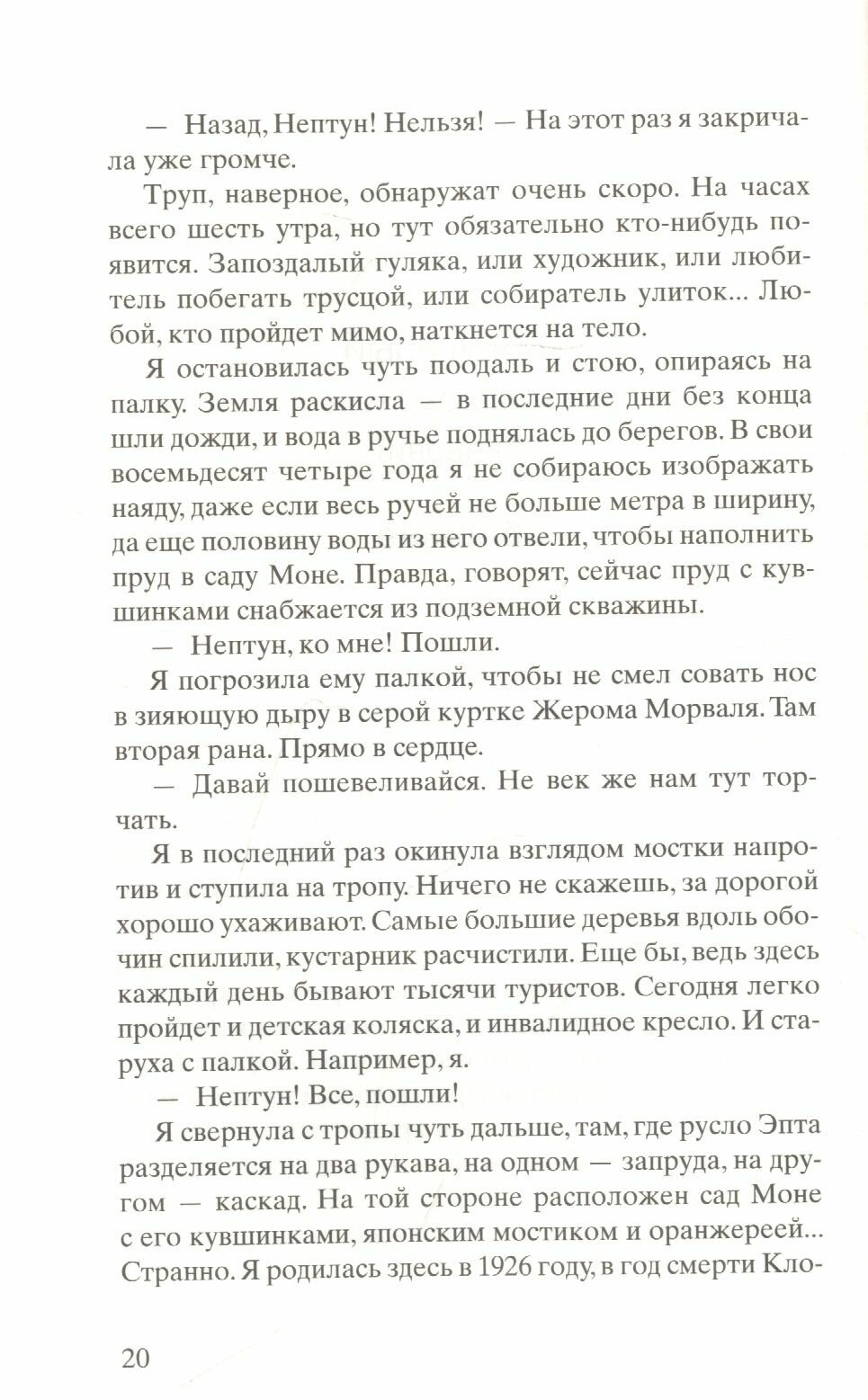 Черные кувшинки — фото 1