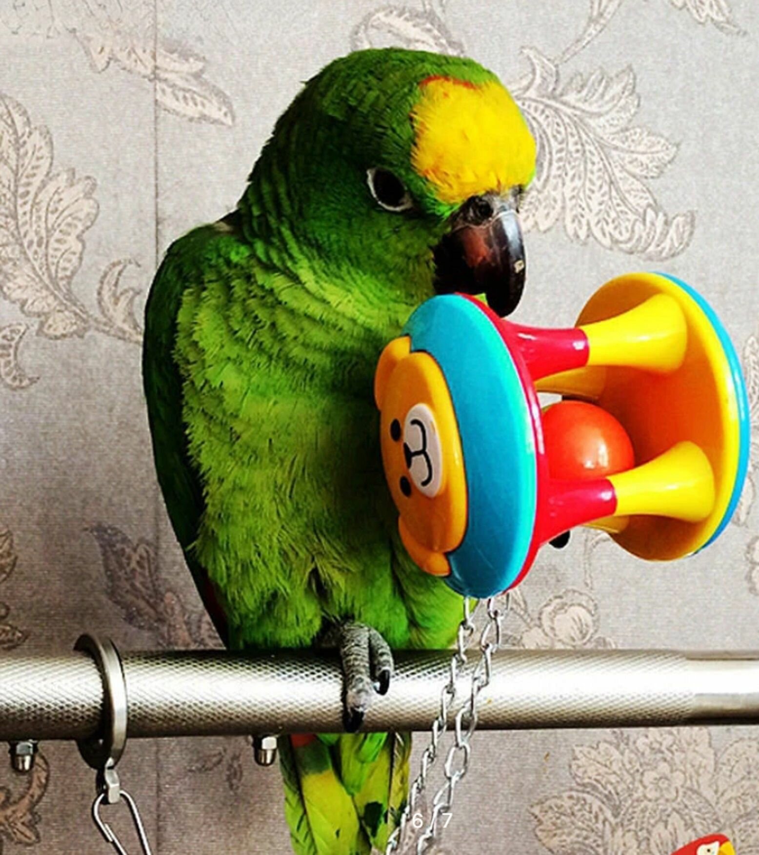 Игрушка для животных