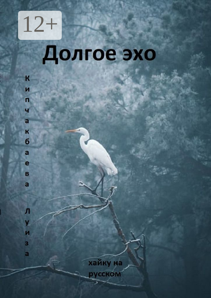 Долгое эхо