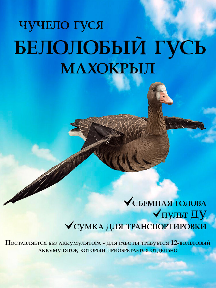 Чучело Белолобый гусь Oscar decoys, махокрыл сторожевой, съемная голова