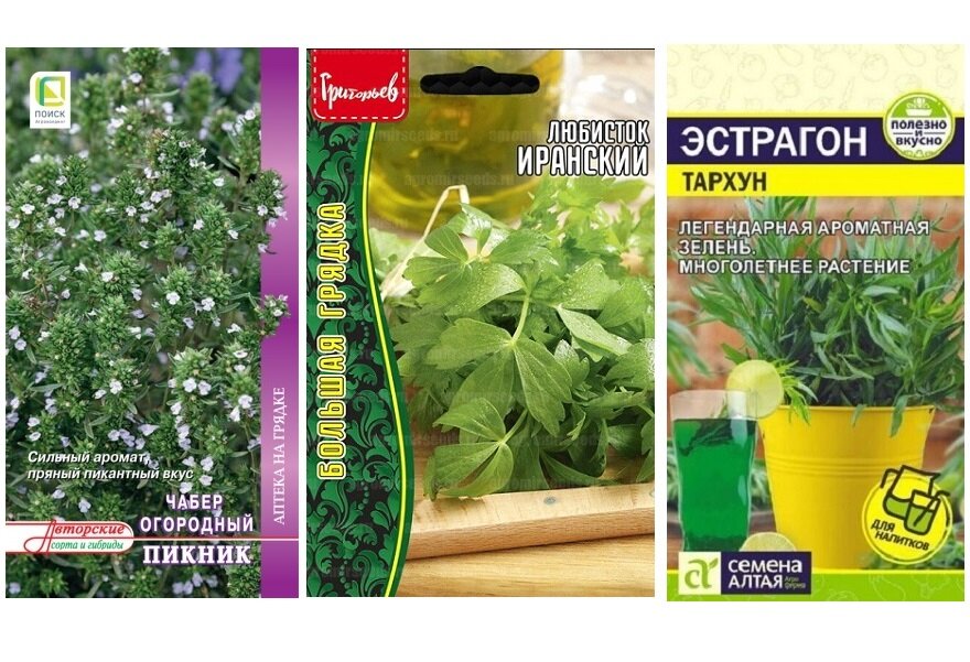 Набор семян многолетников Ароматный Сад (Чабер Огородный Пикник, Любисток Иранский, Эстрагон Тархун)