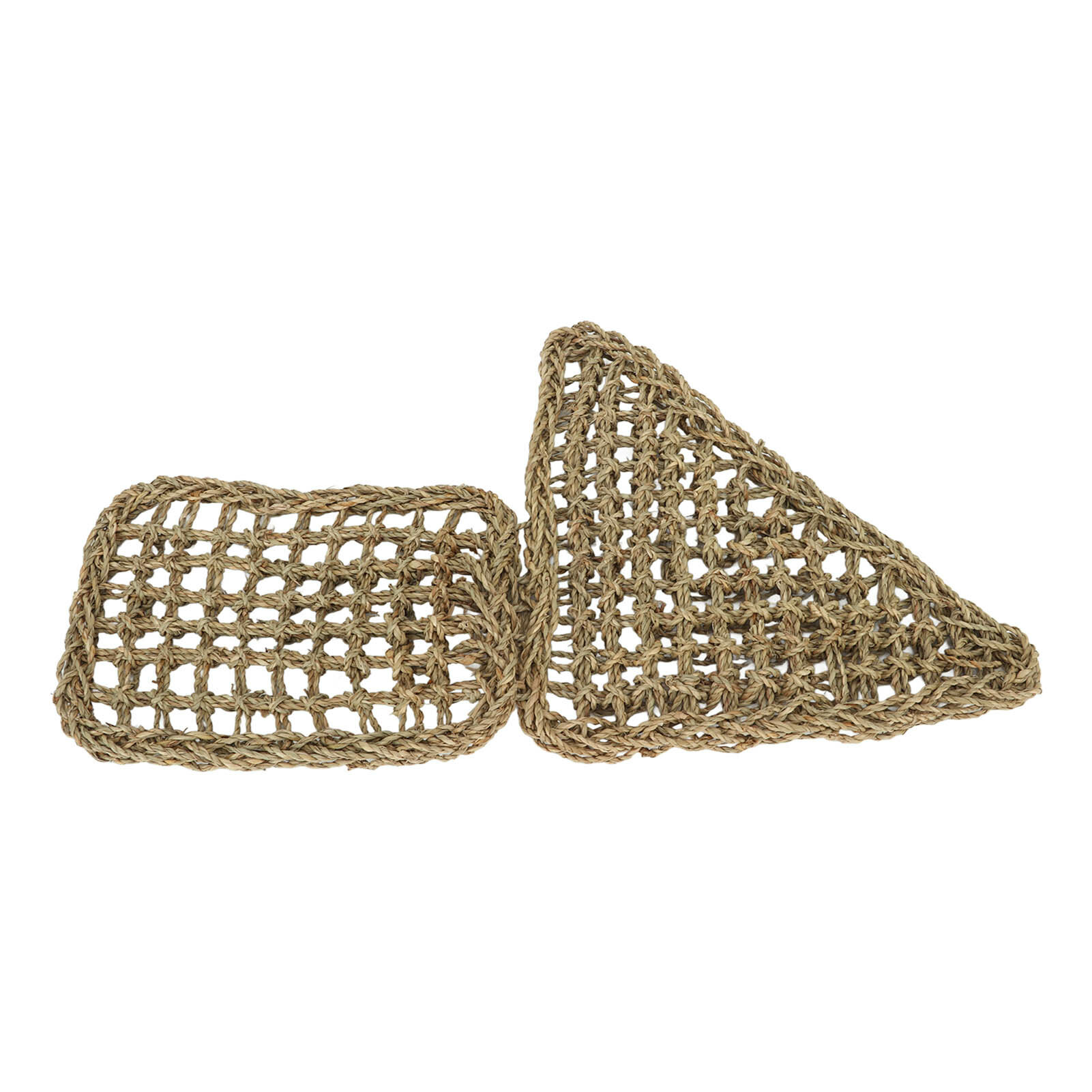 Ящерица рептилий бородатый гамак -гамак -лаунджерный лаунджер