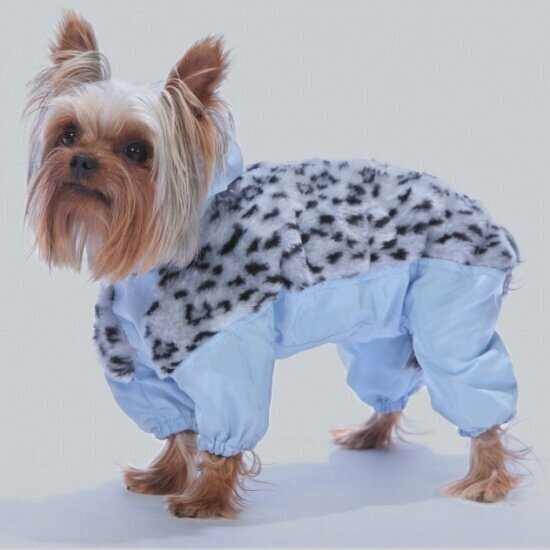 Комбинезон зимний Тузик ош 27 ог 42-34 дс 32 рост 33 с мехом зима - 2 для породы той-пудель (мальчик)