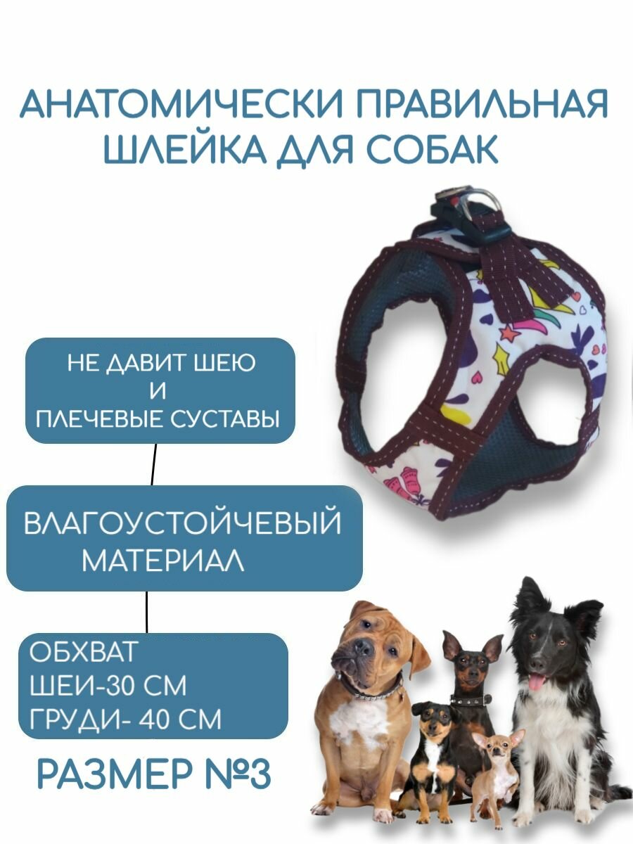 Шлейка для собак мелких и средних пород анатомическая №3 обхват груди 40 см/обхват шеи 30 см, узор