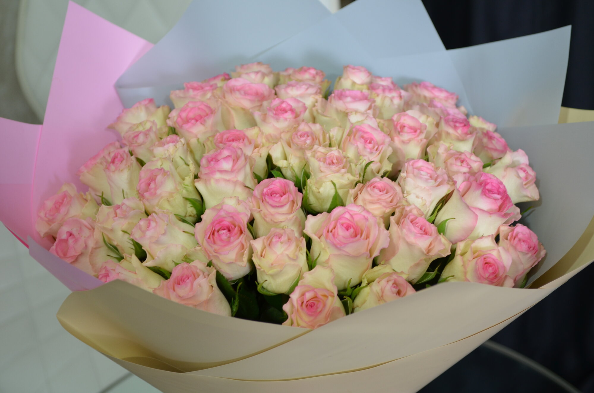 Букет Lavieflowers, 51 Роза, бело-розовый, в аквабоксе, на стеблях, L