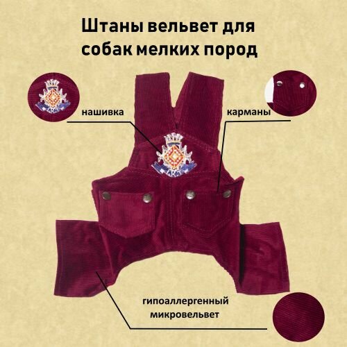 Штаны-джинсы вельвет для собак мелких пород, нашивка Герб I.K.T, размер XS, цвет бордовый