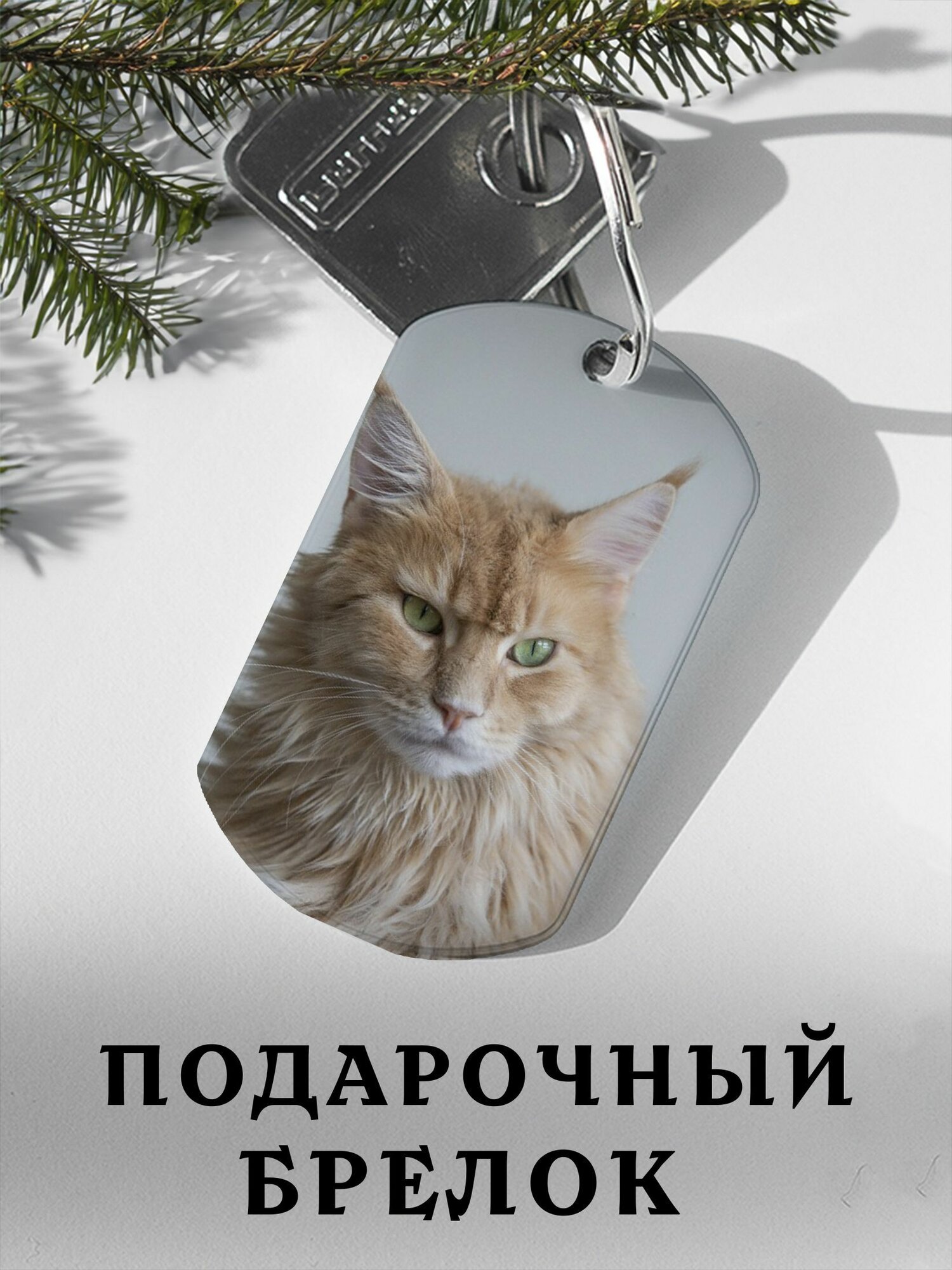 Брелок ZHENYA CLOUD