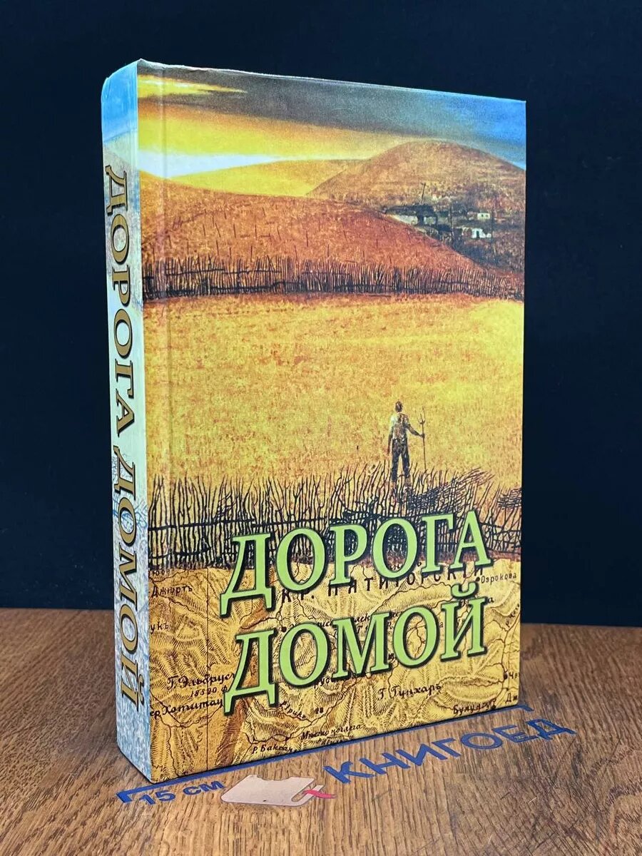 Книга. Дорога домой 2011 (2040770863816)
