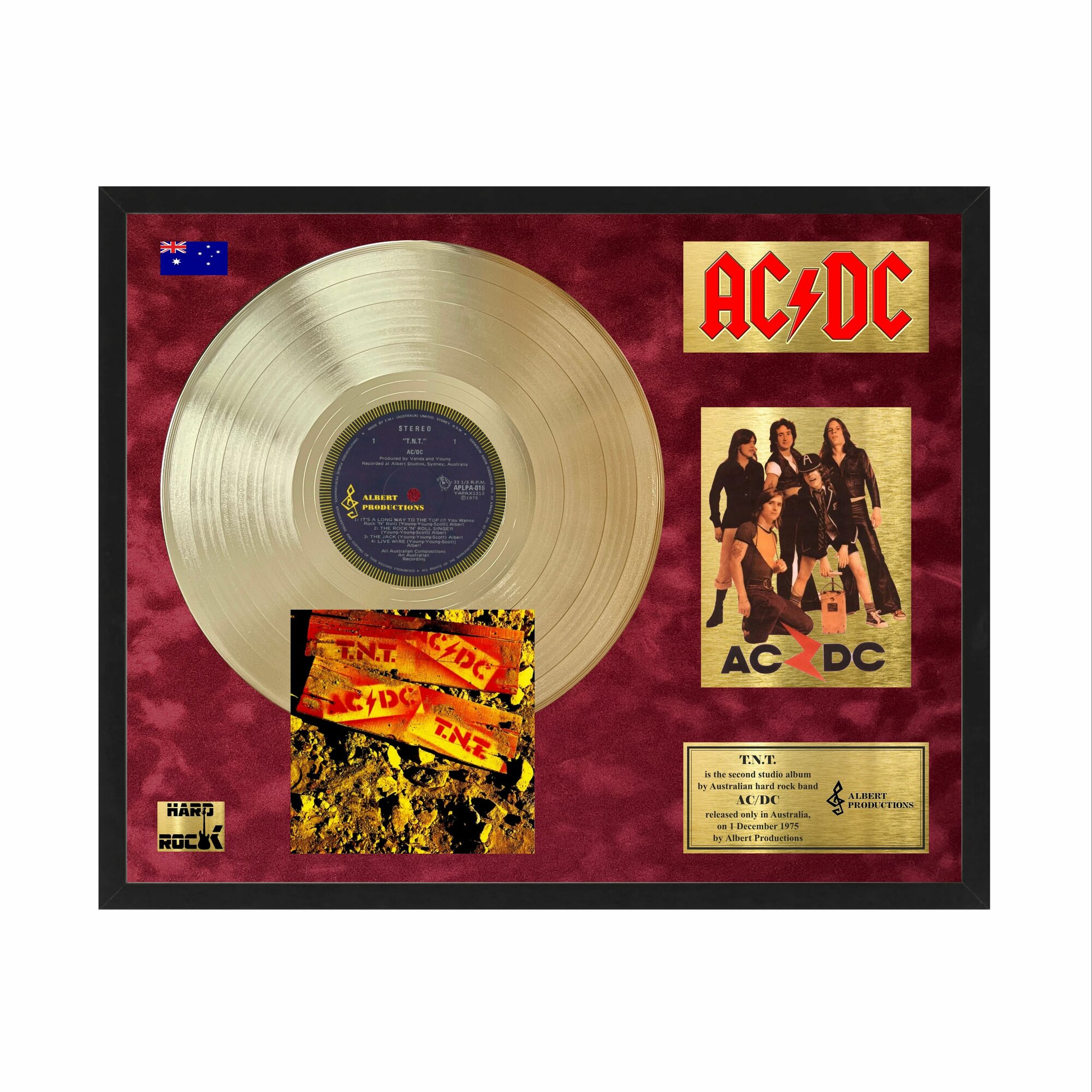 Интерьерная картина ACDC