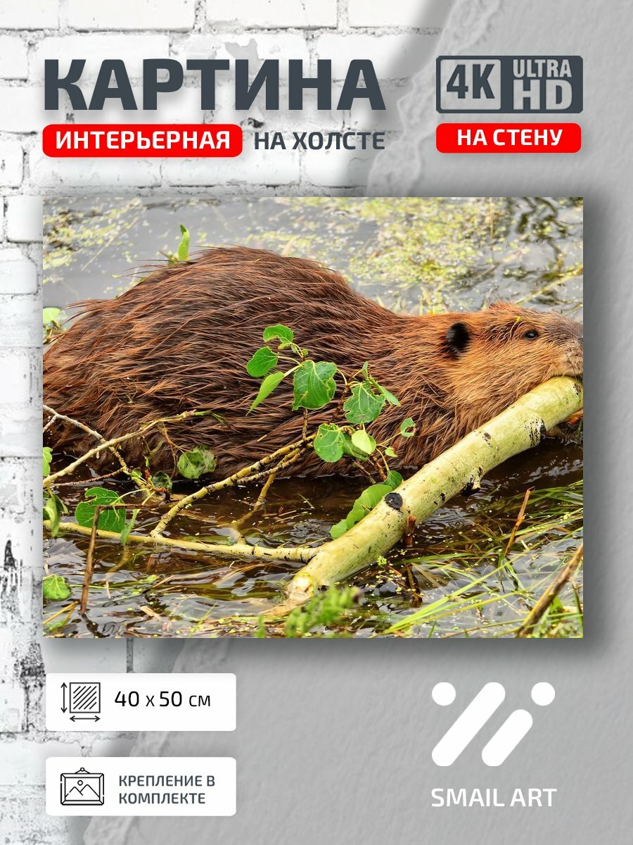Картина на холсте интерьерная 40 на 50 на стену Веткой Mood для гостиной атмосфера интерьер
